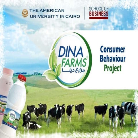 Dina Farms Logo Dina Farms Labneh – 250 Gr