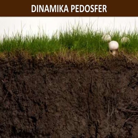 Pedosfer, Tanah (Geografi Kelas X) | PPTX
