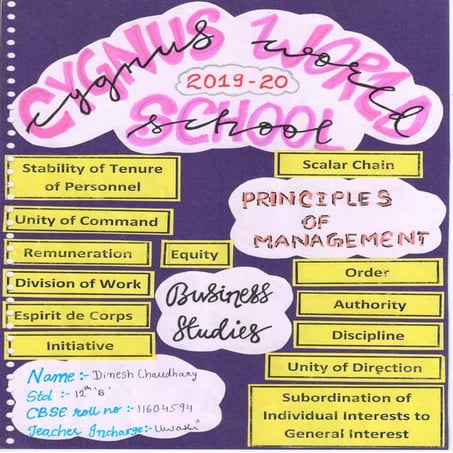 CBSE Business Studies Class XII Principles of Management Project | PDF