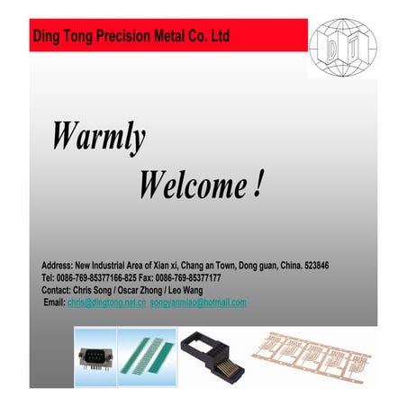 Dingtong File 2010 Rev.E | PDF