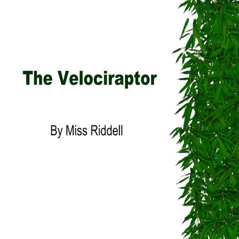 Dinosaur Powerpoint | PPT