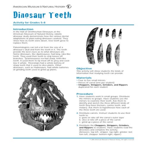 dinosaur-teeth. What dinosaurs are aeting? | PDF
