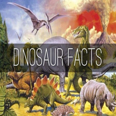 Dinosaur Facts | PPT