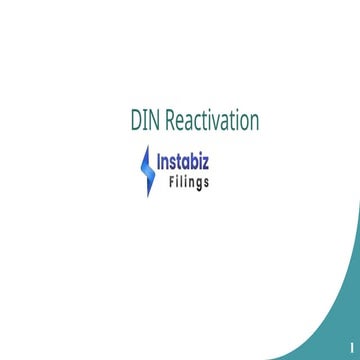 A Guide to Successful DIN Reactivation Procedures | PPTX
