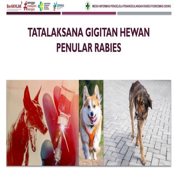 DION - Tata Laksana GHPR bagi Nakes.pptx