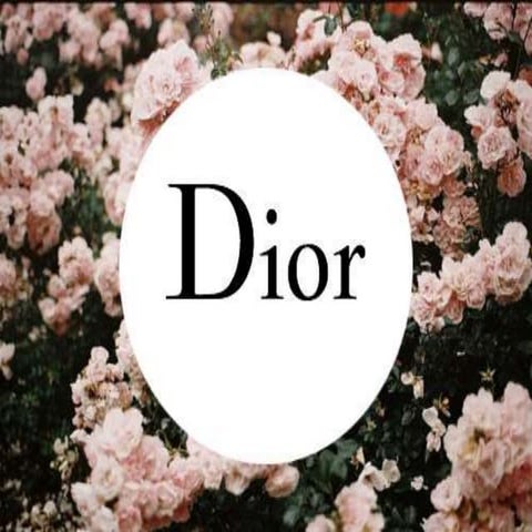 Dior0 | PPTX | Business | Business and Finance