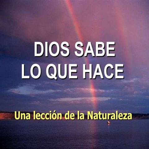 Dios Sabe Lo Que Hace | PPS