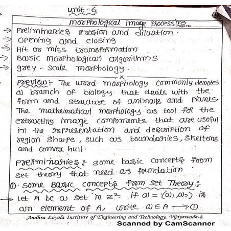 Dip morphological notes | PDF