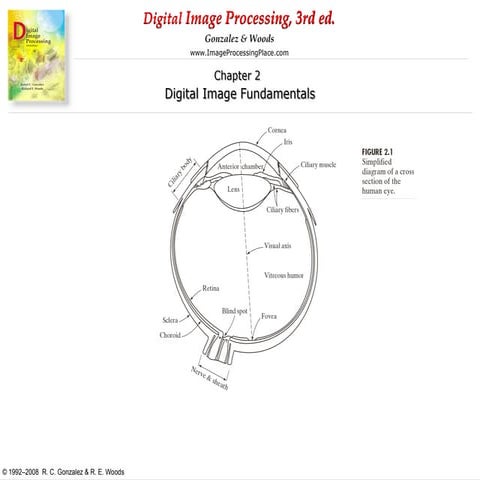 Digital image processing chapter 2 and 3 | PPT