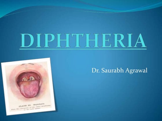 schick test diagnostic tests pharm D microbiology | PPTX