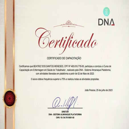 DIPLOMA Enfermagem do Trabalho.pdf