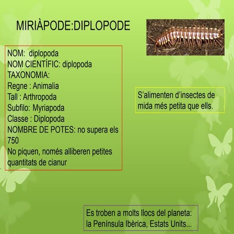 Diplopode | PPTX