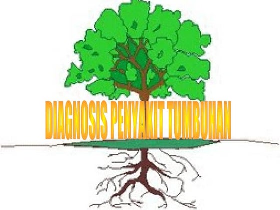 Mikrobiologi pertanian | PPTX