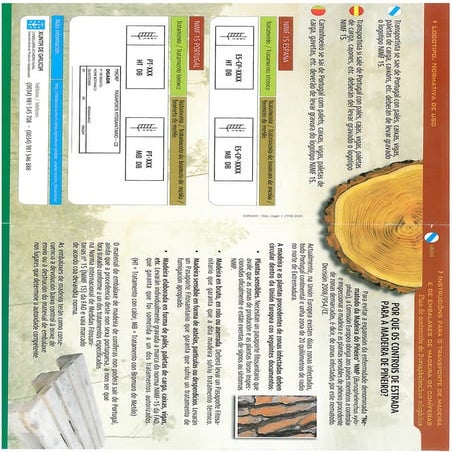 Di Ptico Bursaphelenchus | PDF