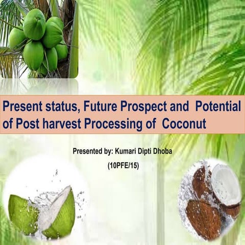 Coconut processing | PPTX