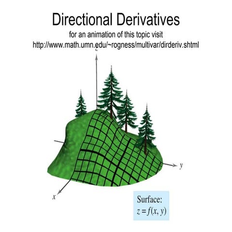 Higher Order Directionaal-derivatives.ppt