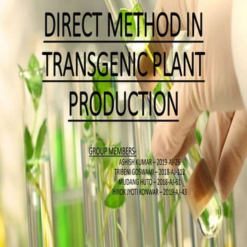 DIRECT METHOD IN TRANSGENIC PLANT PRODUCTION-.pptx