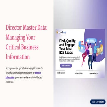 Director-Master-Data-Managing-Your-Critical-Business-Information.pdf