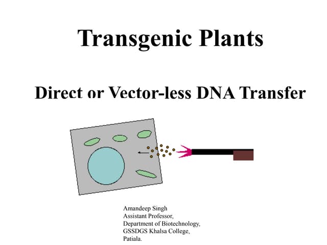 Gene transfer methods | PPTX
