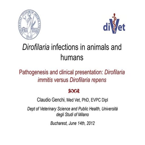 Dirofilaria repens immitis patogeneza si clinic 2 | PDF