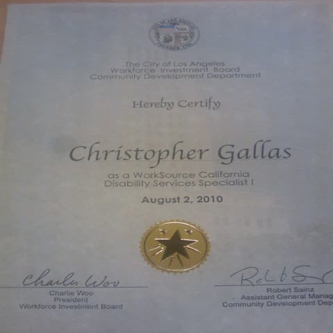 Disability Cert | PDF