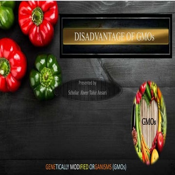 Disadvantages of GMOs | PPTX