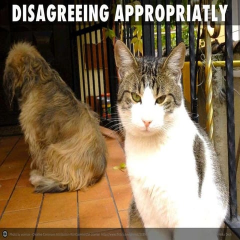 Disagreeing appropriately- | PPT