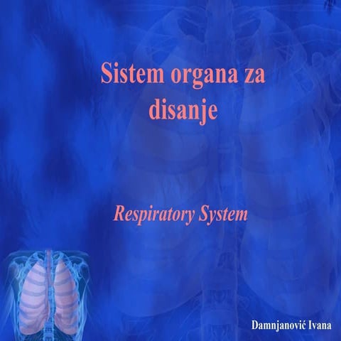 Sistem organa za disanje-kičmenjaci | PPT | Lung and Respiratory Health | Diseases and Conditions