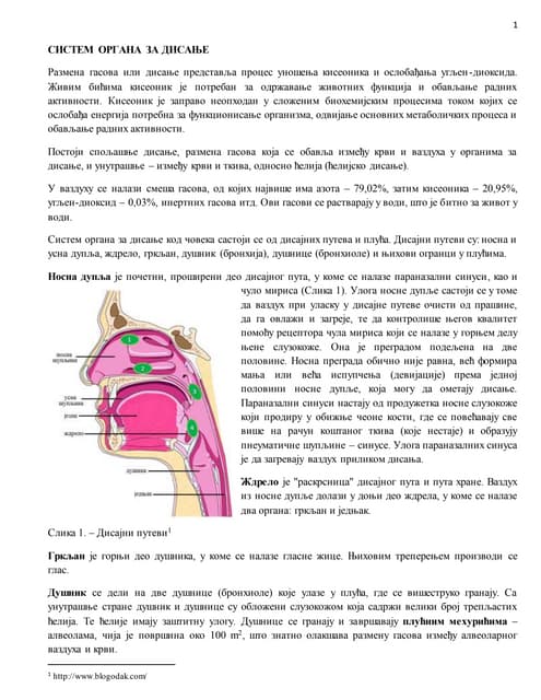 Pluca biologija | PDF