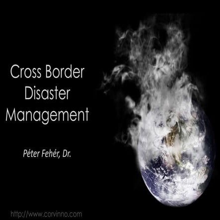 Disaster Management Summary For Web | PDF