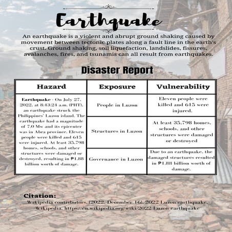 Disaster-report_print.pdf