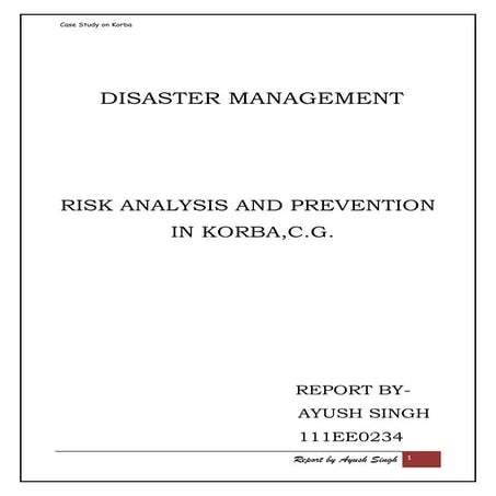 Disaster management | PDF