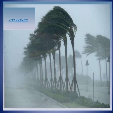 Disaster management Cyclone.pptx