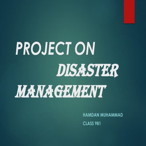 Disaster_Management_ project summer holidays | PPTX