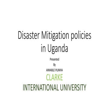 Disaster mitigation policies | PPT
