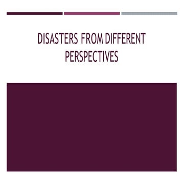disaster perspective.pptx