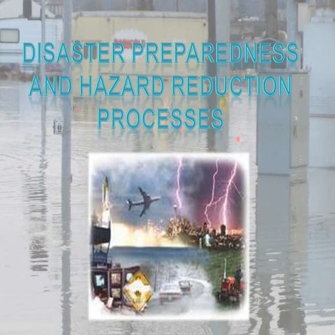Disaster preparedness and hazard reduction processes | PPTX | Disasters