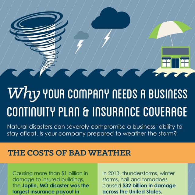 Disaster recovery and Preparedness Infographic | PDF