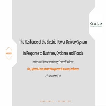 The Resilience of the Electric Power Delivery System in Response to ...