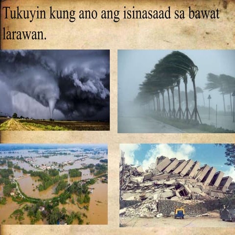 Disaster risk mitigation | PPTX