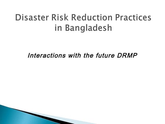 Stakeholders in disaster management | PDF