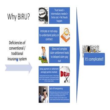 BIRU insurtech with blockchain and parametric | PPTX