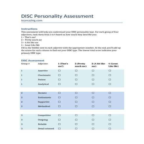 DISC PERSONALITY ASSESSMENT JDJJDJDJDJDJDJD | DOCX