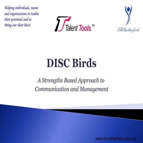 Disc Birds | PPTX
