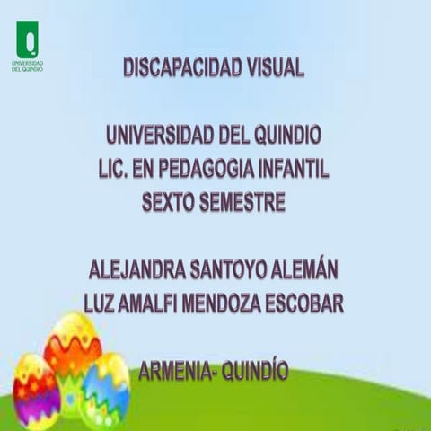 Discapacidad visual | PPT