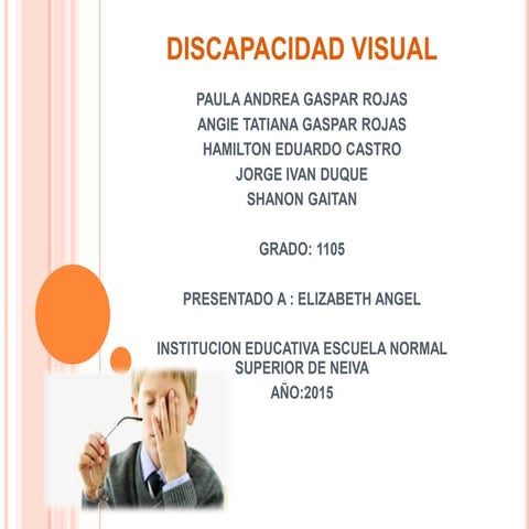 Discapacidad visual | PPT