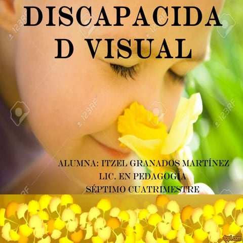 Discapacidad visual | PPT