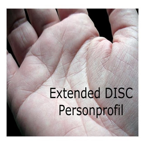 DISC Apollo/FL Lederuddannelse 2010 | PDF