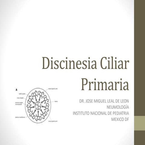 Discinesia ciliar | PPTX