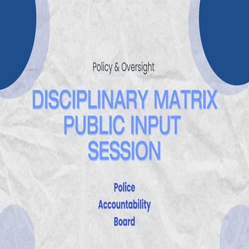 Disciplinary Matrix Public Input Session.pdf